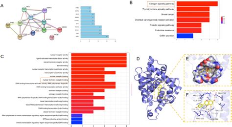 The Results Of Integrated Bioinformatic Analysis Of Genistein In Download Scientific Diagram