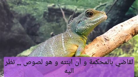 قصة الرجل البخيل 😱 قصة وعبرة 👌👌 Youtube