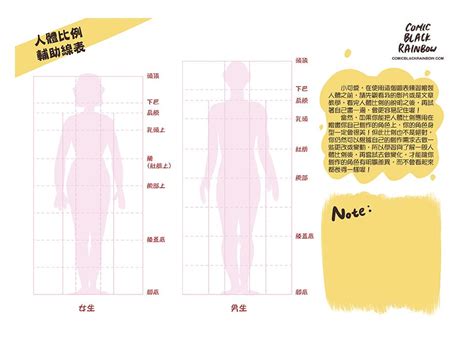 如何畫身體？男女人體骨架比例讓你一看就懂 Anime Drawings Tutorials Drawing Tutorial