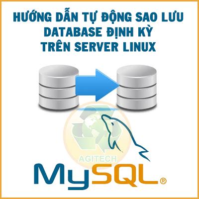 Top 10 thiết kế database web bán hàng cho doanh nghiệp hiện đại