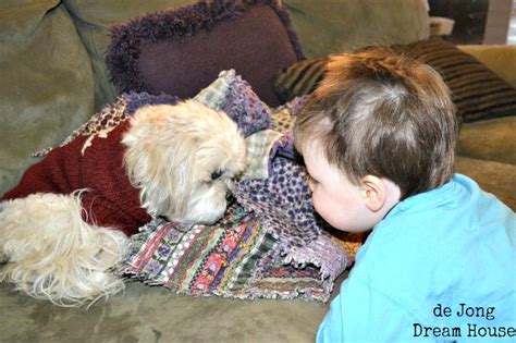 De Jong Dream House Missing Bailey