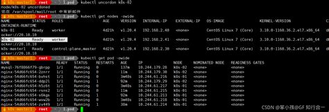 使用 Kubectl 管理 Kubernetes 容器平台kubectl Cordon Csdn博客