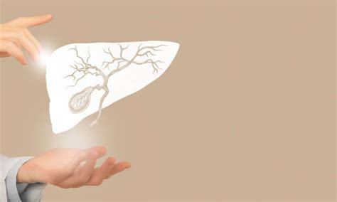 Chmp Issues Positive Opinion For Biliary Tract Cancer Treatment Drug Discovery World Ddw