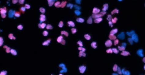 Corning Hyperstack Cell Culture Vessels Corning