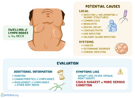 Bilateral Cervical Lymphadenopathy And Neck Nodes Osmosis