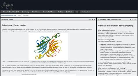 Molecular Simulation Grid