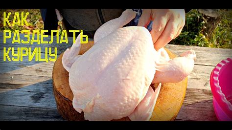 КАК РАЗДЕЛАТЬ КУРИЦУ РАЗДЕЛКА КУРИЦЫ КАК ПРАВИЛЬНО РАЗДЕЛАТЬ КУРИЦУ