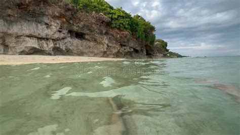 Pov View Female Feet Stepping On Live Reef With Green Seaweeds And Moss
