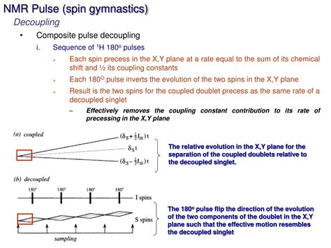 Ppt The Basic 1d Nmr Experiment Powerpoint Presentation Free