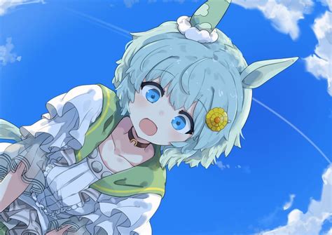 Seiun Sky Umamusume Drawn By Totomono Danbooru