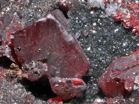 Native Mercury Complete Mineral Overview