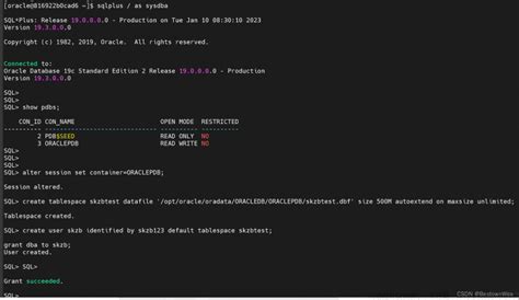 Docker环境安装 部署 Oracle 19c Toy模板网