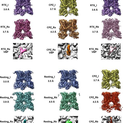 masks used for particle subtraction and focused classification side