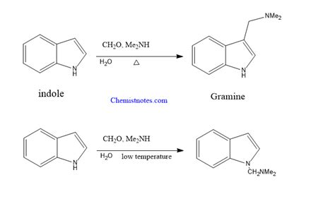 Mannich Reaction Promising Mechanism Chemistry Notes