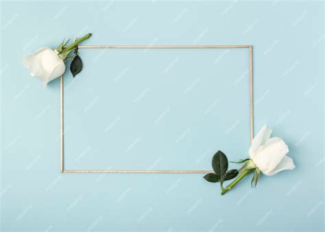 흰 장미 꽃과 파란색 배경에 프레임 무료 사진