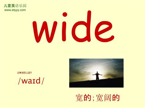 单词wide