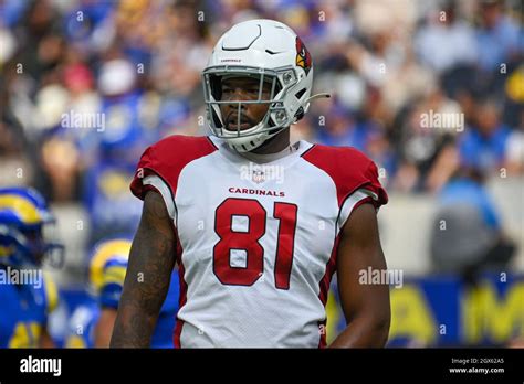 Arizona Cardinals Tight End Darrell Daniels 81 During An Nfl Football