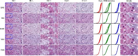 Context Based Normalization Of Histological Stains Using Deep