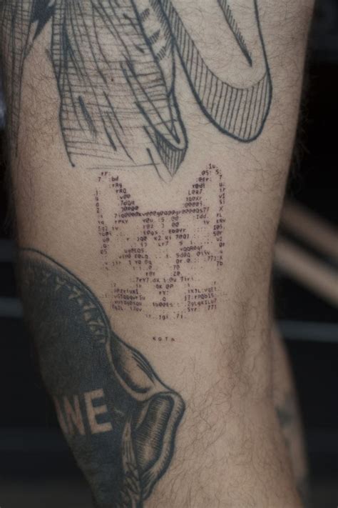 Gato Cat