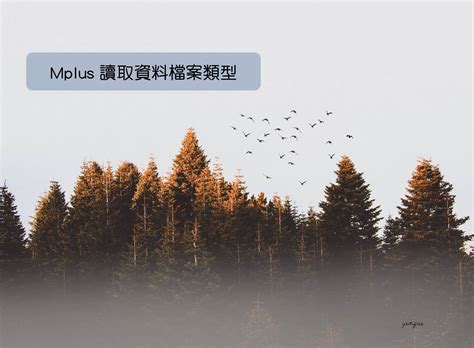 【mplus 讀取資料檔案類型】 永析統計及論文諮詢顧問