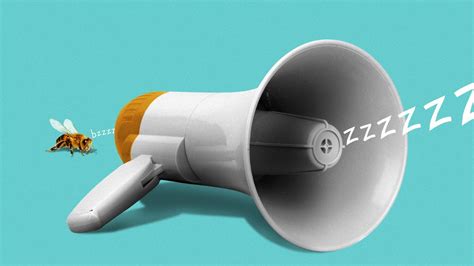 Morning Buzz No More Zebra Memes Axios Seattle