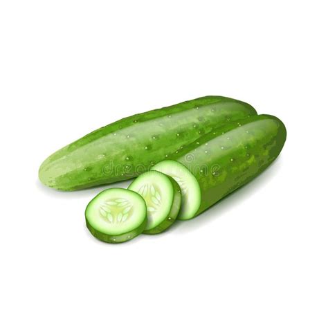 Cucumber And Slice On White Vector Stock Vector Illustration Of