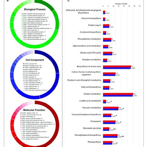 Gene Ontology Go Function Classification And Kyoto Encyclopedia Of