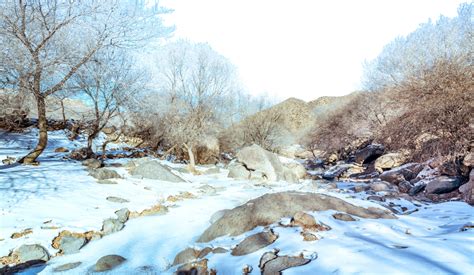 얼음과 눈 풍경 Png 일러스트 Psd 및 클립 아트에 대한 무료 다운로드 Pngtree