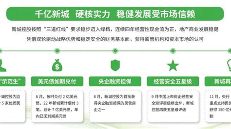 新城控股董事长：做轻资产金牌服务商新城控股新城悦已新浪新闻