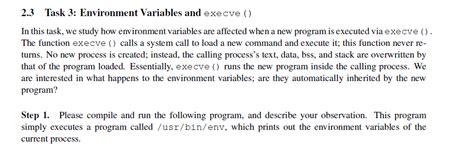 Solved 23 Task 3 Environment Variables And Execve In