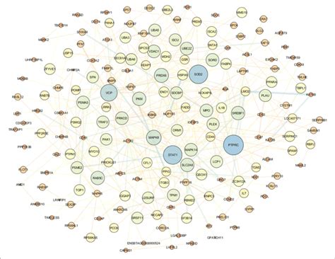 Protein Protein Interaction Network For The Common Genes Using Cytoscape Download