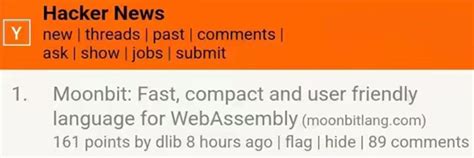 Idea Moonbit Javascript Moonbit