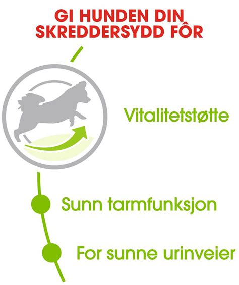 Royal Canin X-small Adult 8+ Tørrfôr til hund 1,5 kg - Dyrekassen.no