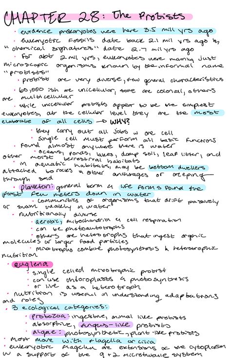 Chapter The Protists CHAPTER The Protists Evidence Prokaryotes Were Here Mill Yrs