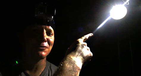 The Gravity Light — The Wonder Of Science