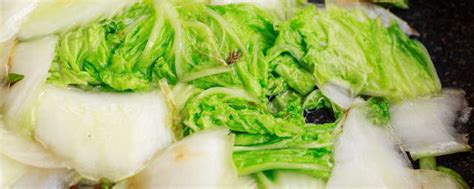 白菜豆腐营养价值及功效与作用 白菜豆腐的食用禁忌 知秀网