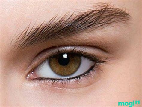 Mắt Phượng Mày Ngài Đặc Điểm Đôi Mắt Của Bậc Đế Vương