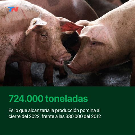 La producción de carne de cerdo se duplicó en la última década por la mayor incorporación de