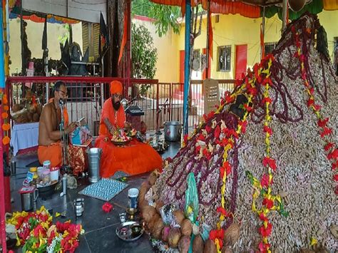 Grand Consecration Of Five Lakh Mortal Remains Of Shiva Linga Took