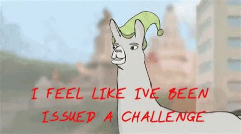 Llamas With Hats I Feel Like Ive Been Issued A Challenge Llamas