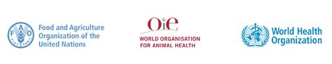 Webinar On The Fao Oie Who One Health Approach To Amr Mitigation And