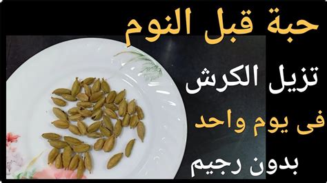 بدون ريجيم حبة قبل النوم ازالة الكرش فى يوم واحد تخسيس البطن حتى لو