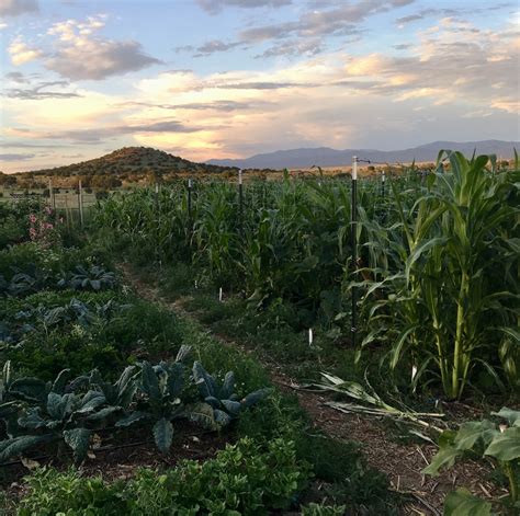Nm Healthy Soil Working Group Supporting Farmers And Ranchers In Soil
