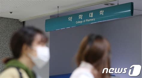 교육부 약대 학제개편 방안발표시행령 입법예고 뉴스1