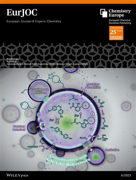 Front Cover Colloidosomes As A Protocell Model Engineering Life‐like Behaviour Through Organic