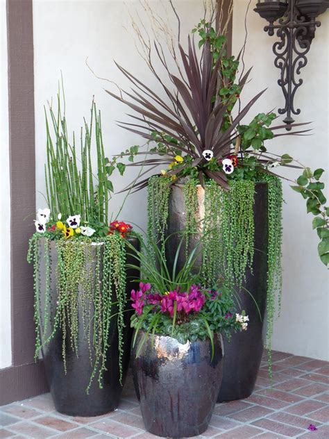 Tall Ceramic Planters Designer Picks Photos