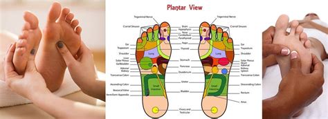 Chinese Acupuncture Foot Chart