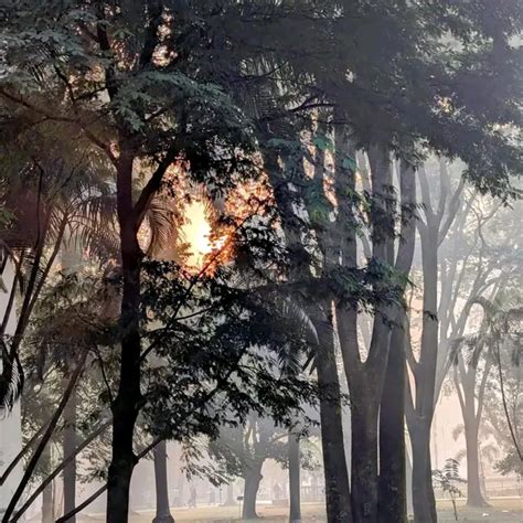 Md Saiful Alam Saifulalam001 • Instagram Photos And Videos