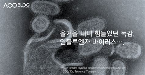 구버전 人co Blog 올겨울 내내 힘들었던 독감 인플루엔자 바이러스