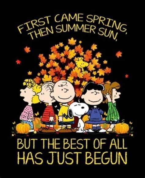 A Snoopy Autumn Peanuts Charlie Brown Snoopy Snoopy Snoopy Pictures